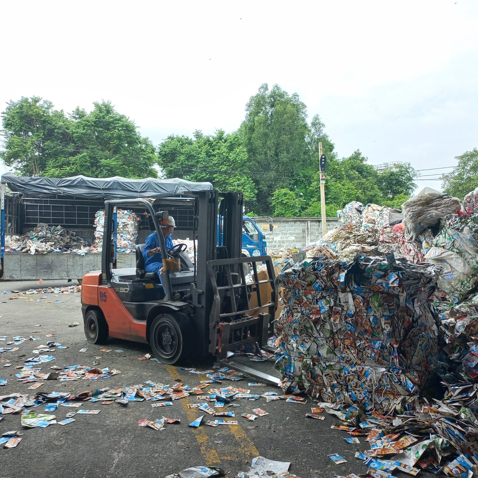 Tetra Pak, PRO Vietnam and BVRio Carton recycling initiative begins in ...