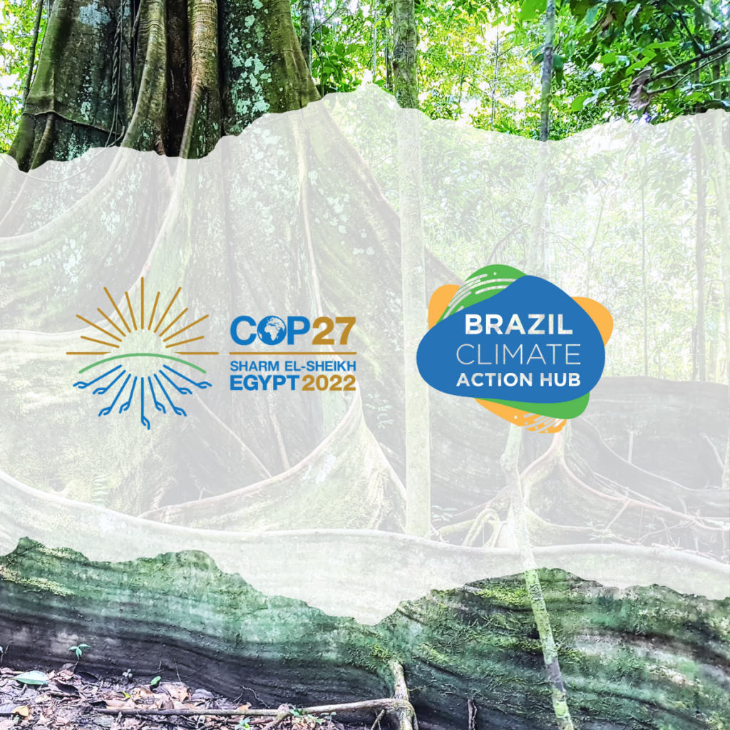 BVRio joins the Brazil Climate Action Hub at COP27 | BVRIO