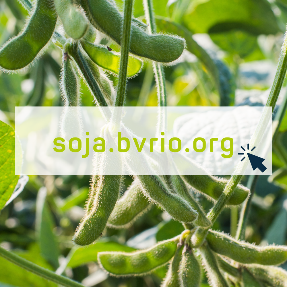 New risk assessment tool assessing deforestation and conversion of ...