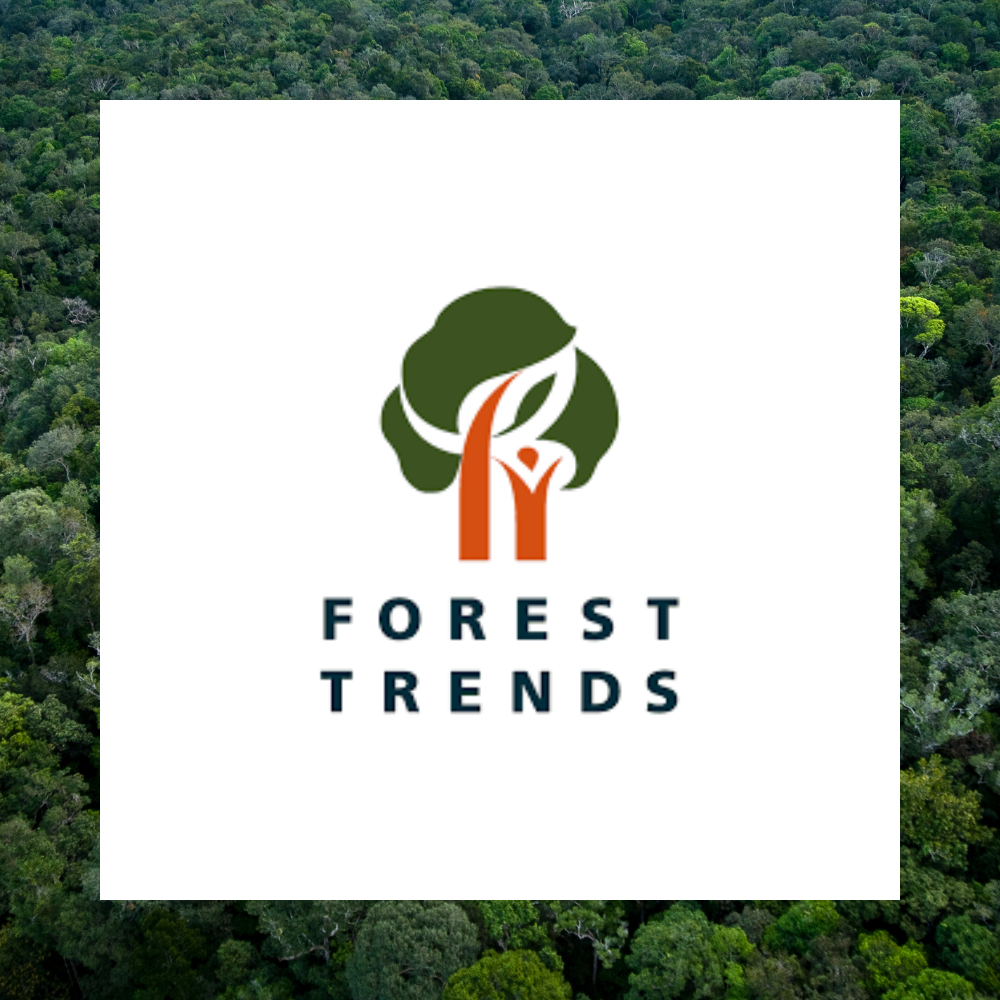 Pedro Moura Costa joins Forest Trends Fellows Program | BVRIO