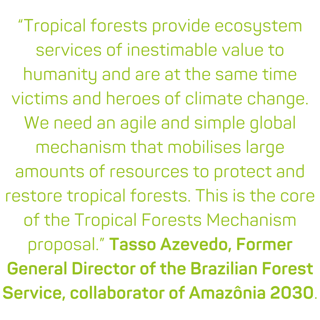 Tropical Forests Mechanism | BVRIO