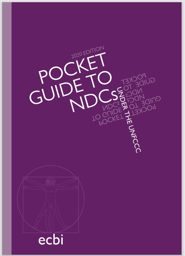 Pocket Guide to NDCs under the UNFCCC (2020 Edition) | BVRIO