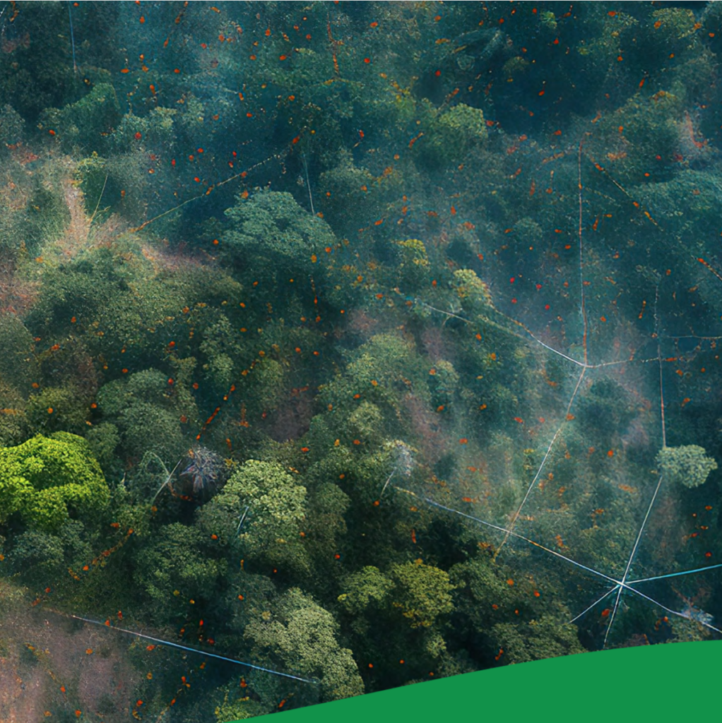 PlanaFlor advances engagement agenda to strengthen Forest Code ...